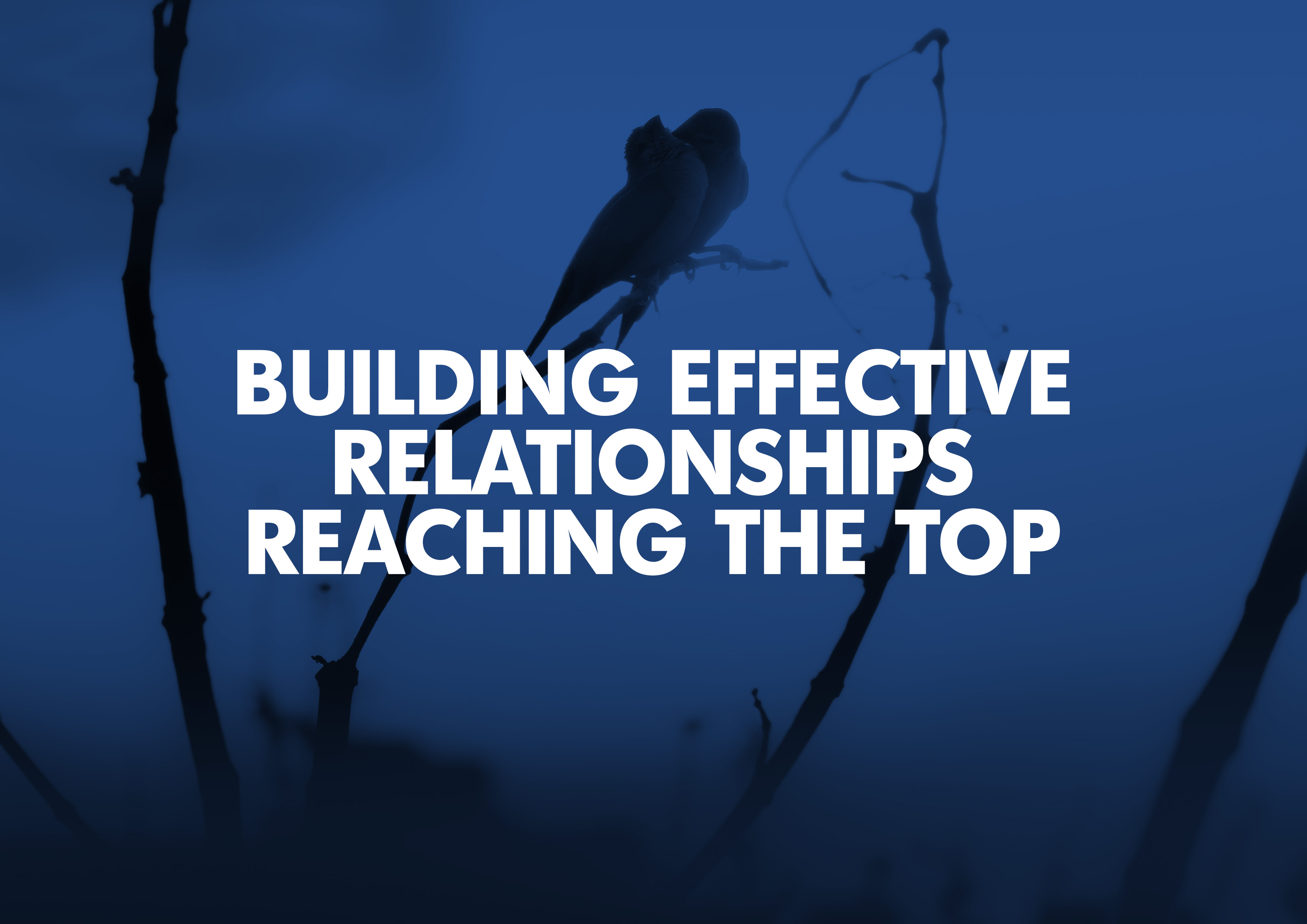 Building Effective Relationships Reaching The Top