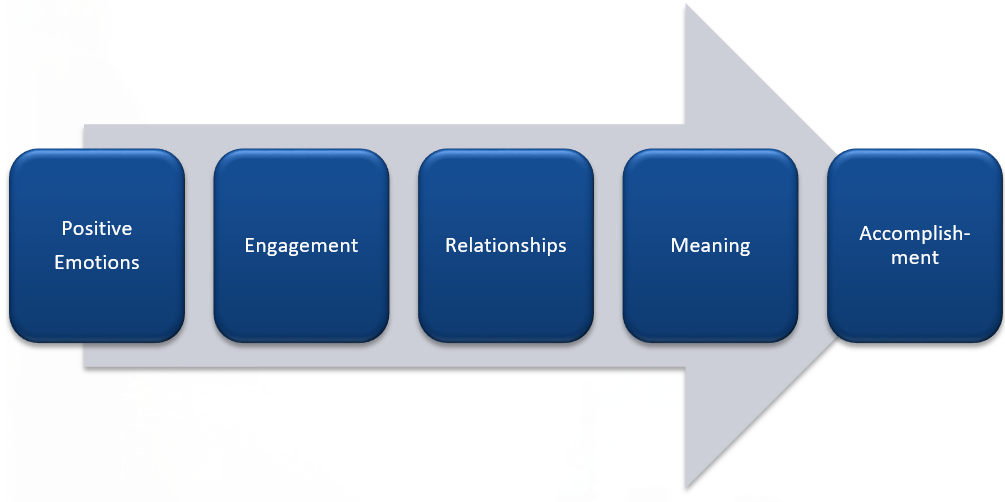 Fostering Positive Psychology in the Workplace