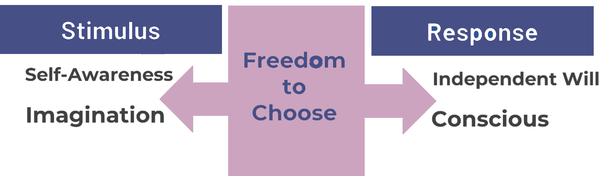Self-Regulation: Let’s Handle Those Triggers!